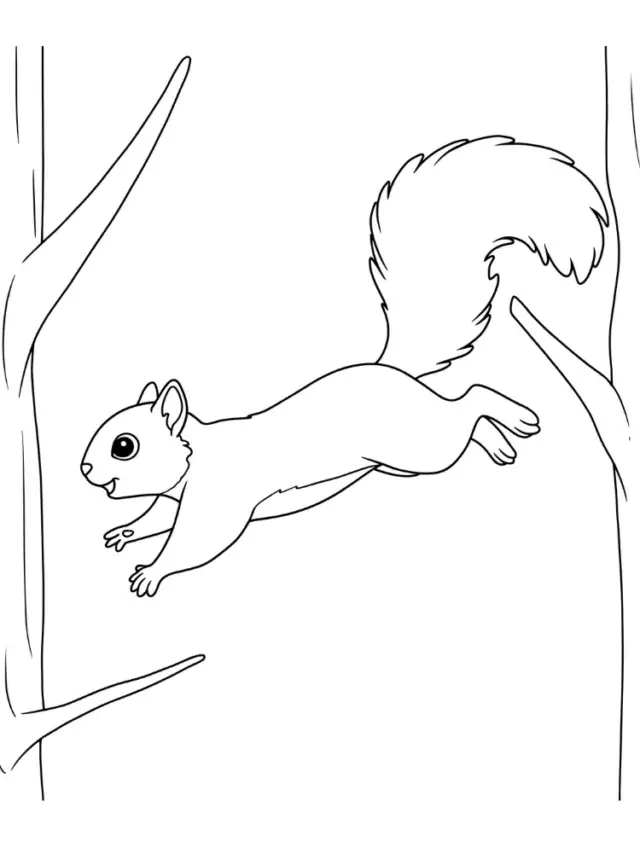 36+ Dibujos de ardilla para colorear e imprimir PDF
