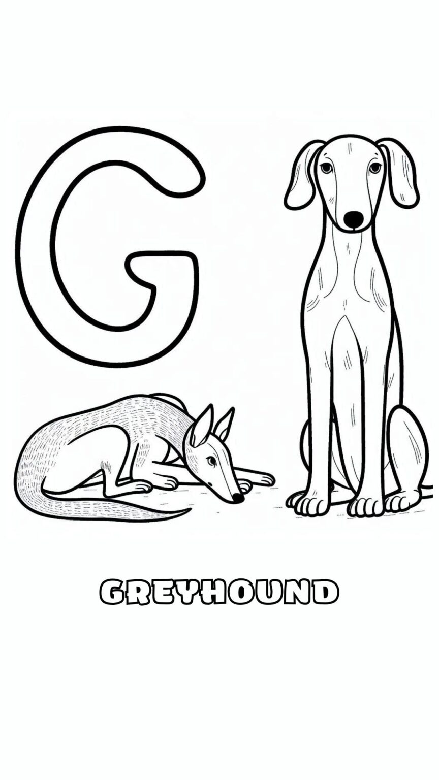 18 Letter G Animals Coloring Page For Kids To Study