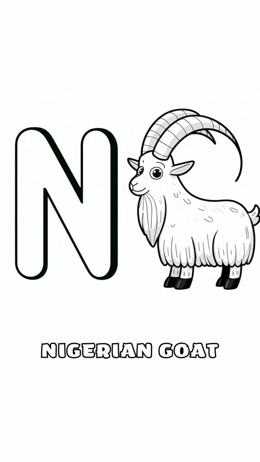 15 Coloriage d'animaux de la lettre N que les enfants peuvent étudier