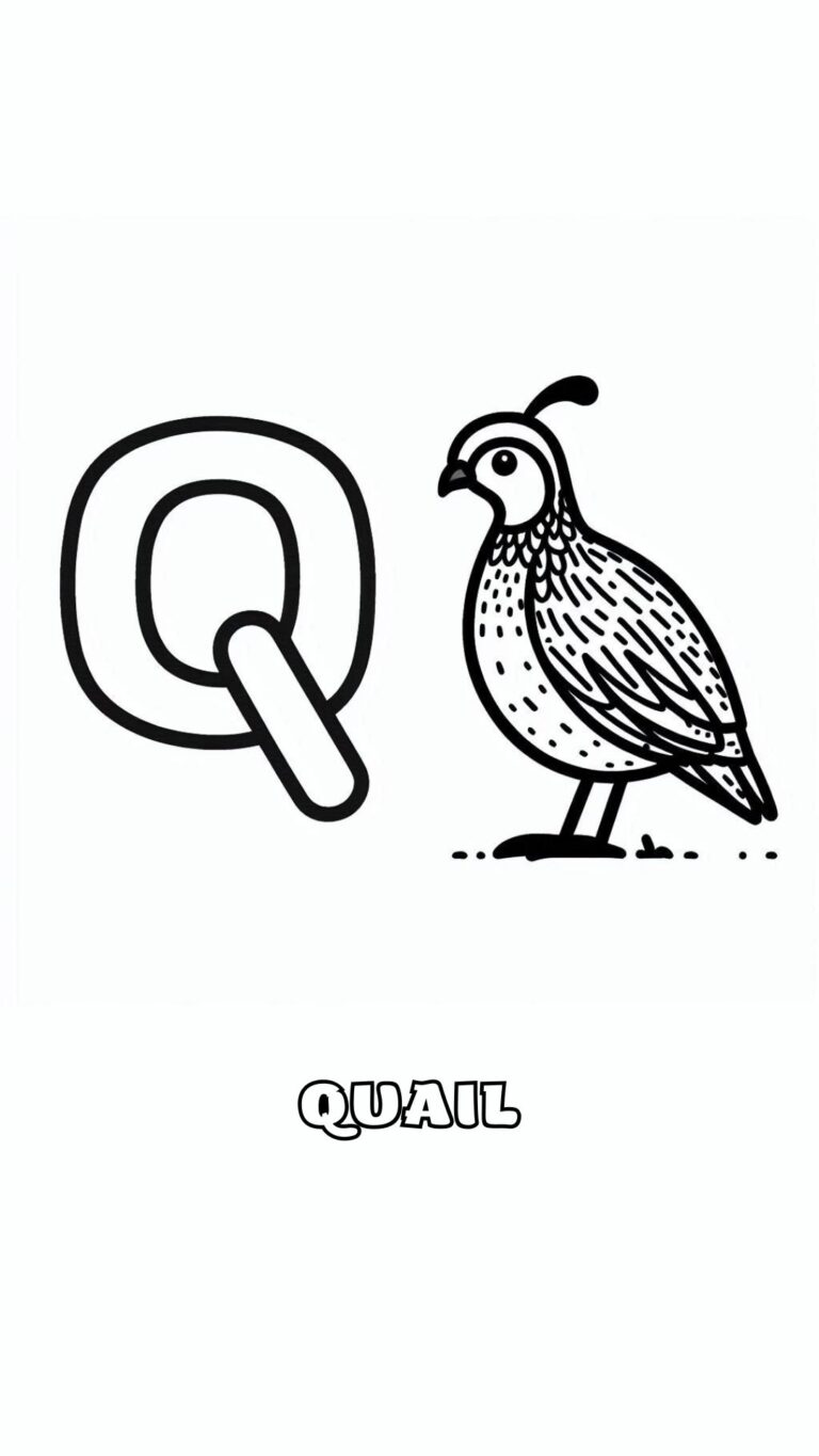 Letter Q Animals Coloring Page For Kids To Study