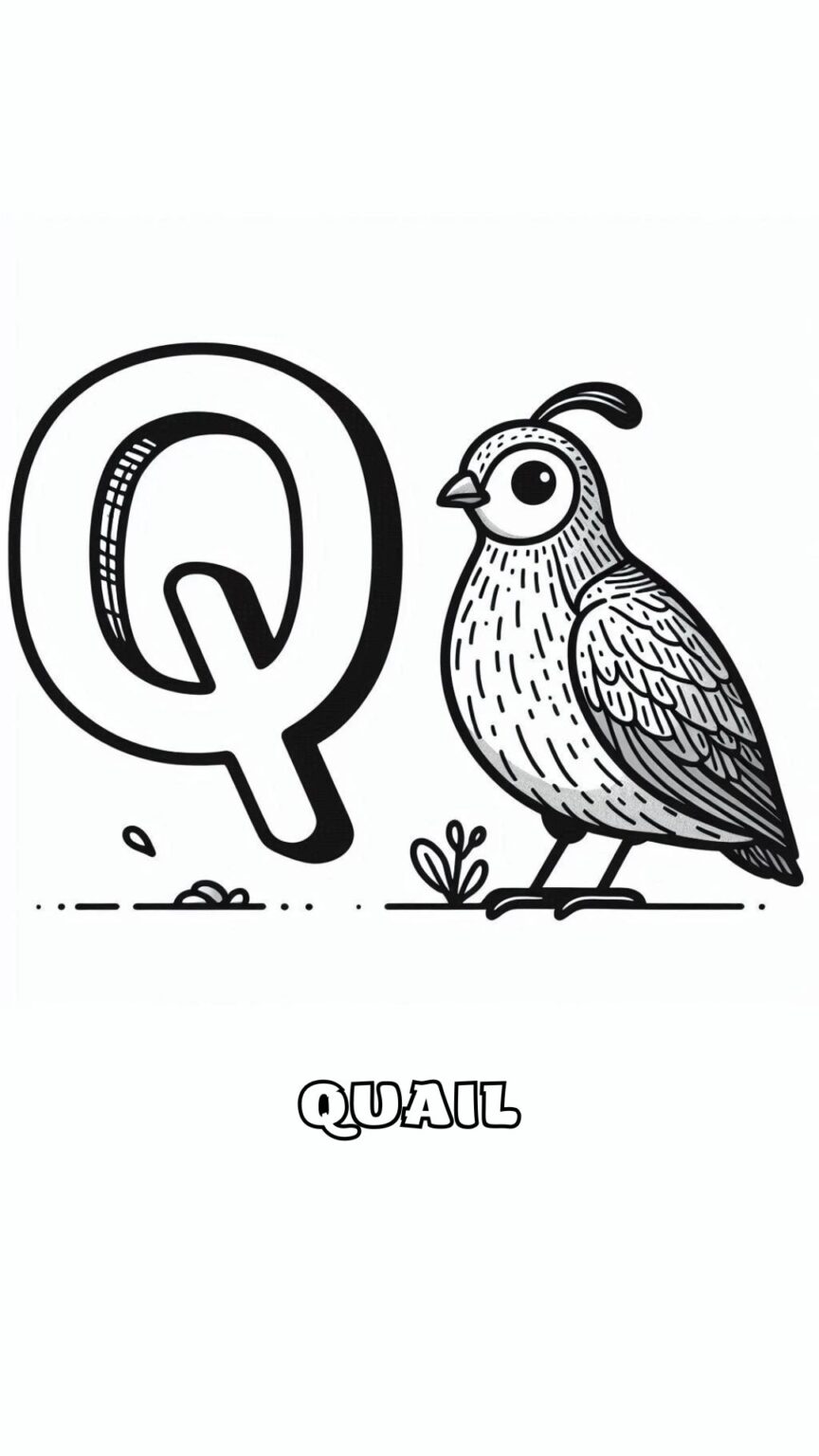 Letter Q Animals Coloring Page For Kids To Study