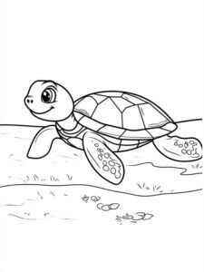 43 Broasca testoasa de colorat gratuit (Desene imprimabile)