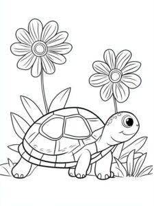 43 Broasca testoasa de colorat gratuit (Desene imprimabile)