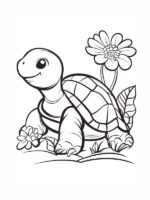 40 Broasca testoasa de colorat gratuit (Desene imprimabile)