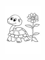 40 Broasca testoasa de colorat gratuit (Desene imprimabile)