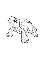 37 Broasca testoasa de colorat gratuit (Desene imprimabile)