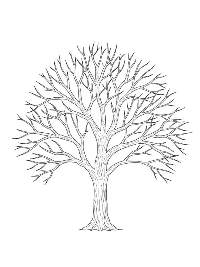 25 Kleurplaat Kale Boom Unieke | Download En Printen PDF