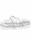 42 Capybara de colorat ùniko (Desene imprimabile PDF)