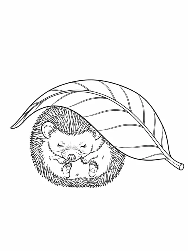 33+ Kleurplaat Egel Unieke | Download En Print PDF
