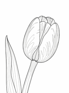 18+ Tulp Kleurplaat - Download En Print Gratis