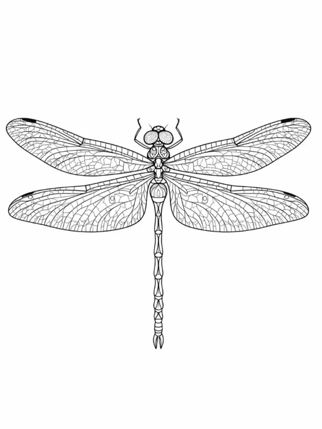 Libelle Malvorlage - Kostenloses Malen für Kinder