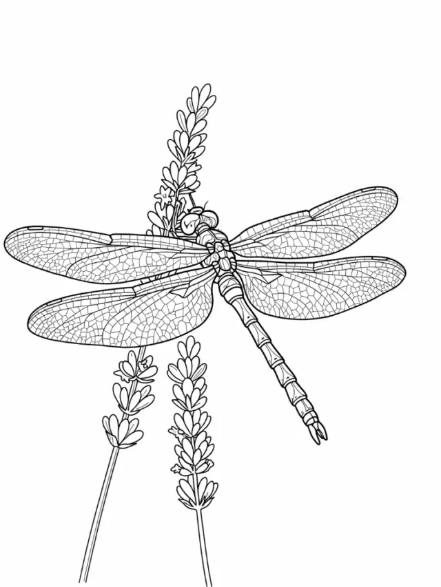 Libel Kleurplaat - Gratis Inkleuren Voor Kinderen