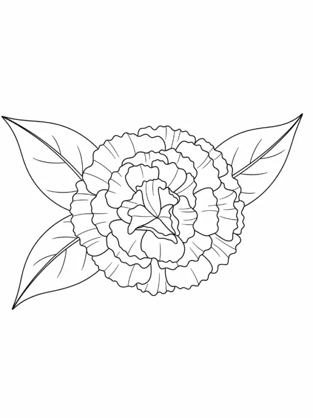 Anjer Kleurplaat - Gratis Vrolijke Bloem Om Te Kleuren