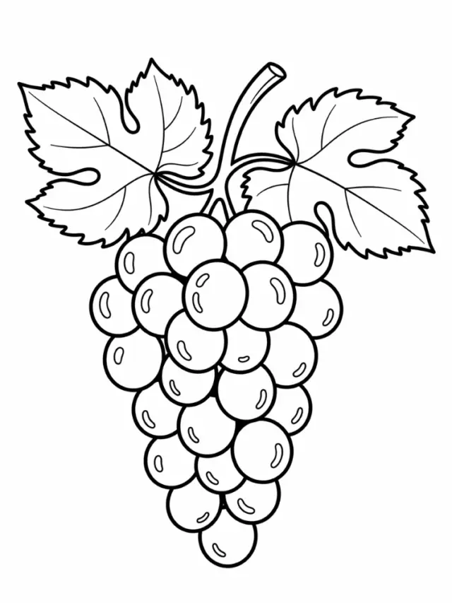 Plus de 23 coloriages de raisins – Gratuits et amusants pour les tout ...