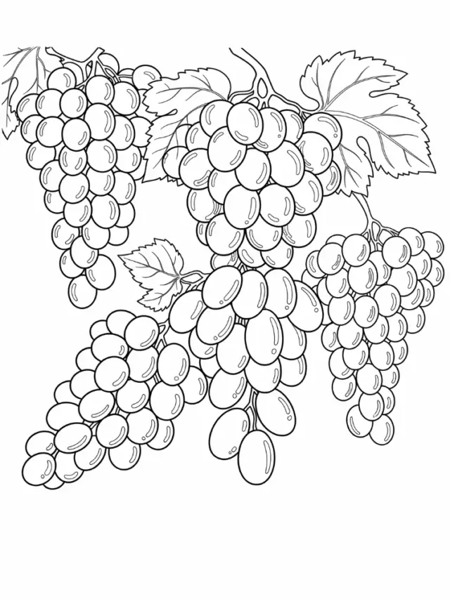 Más de 23 páginas para colorear de uvas: gratis y divertidas para niños ...