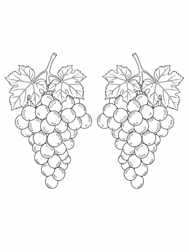 Plus de 23 coloriages de raisins – Gratuits et amusants pour les tout ...