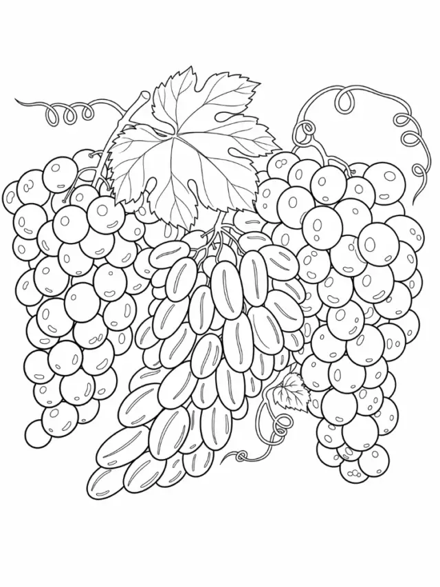 Plus de 23 coloriages de raisins – Gratuits et amusants pour les tout ...